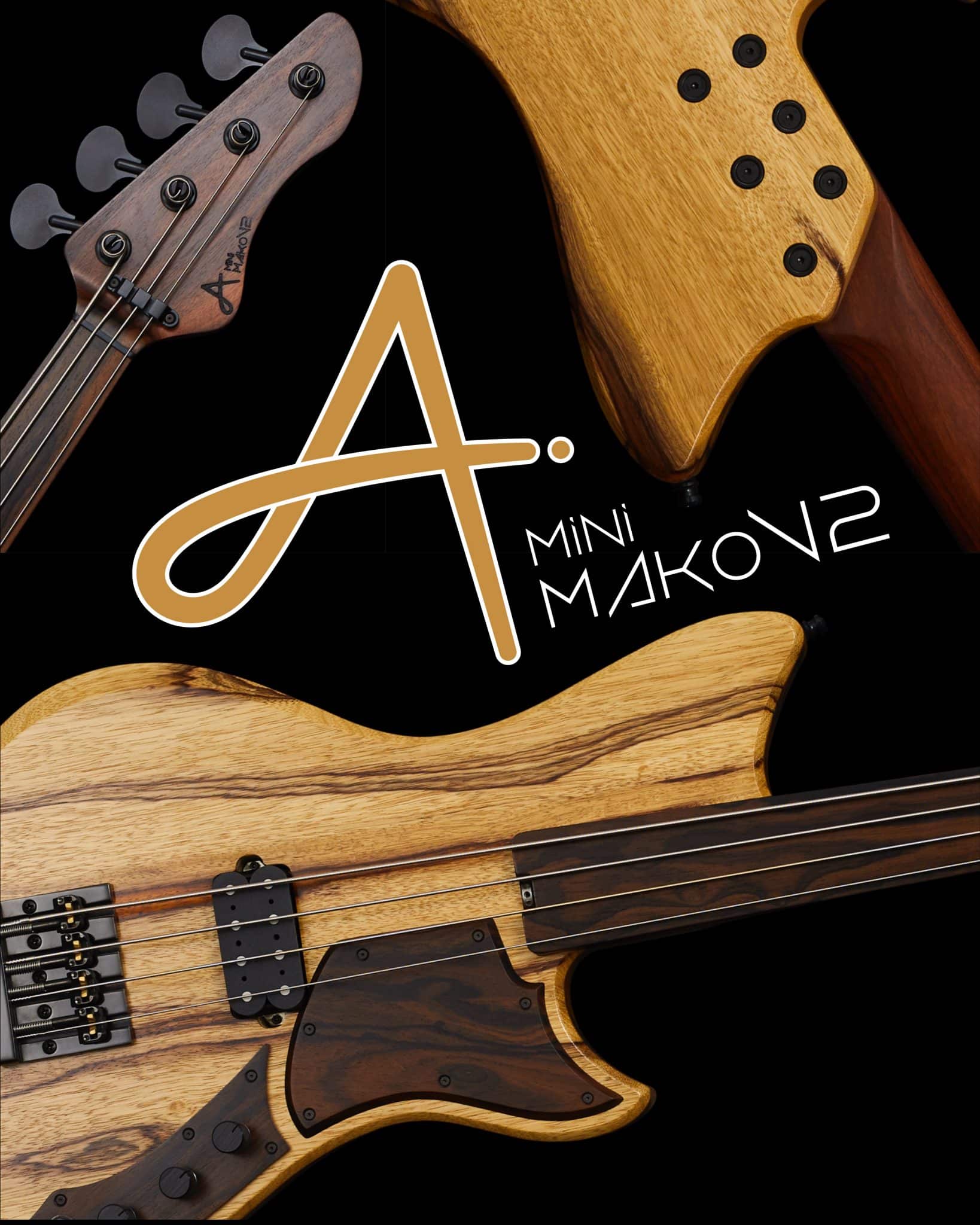 Bass Gallery